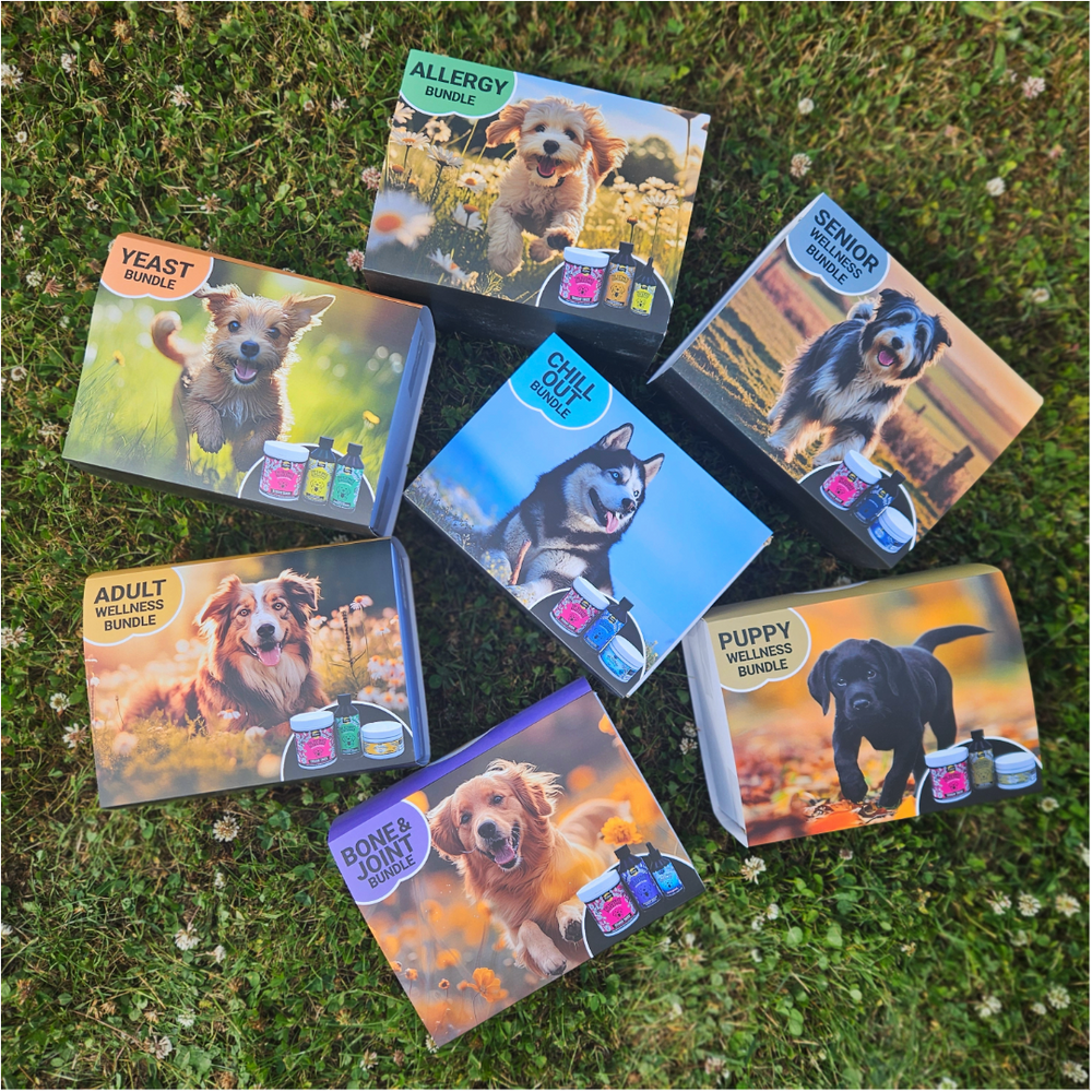 100% Natural Supplements for Dogs – Vet Approved | Proflax UK