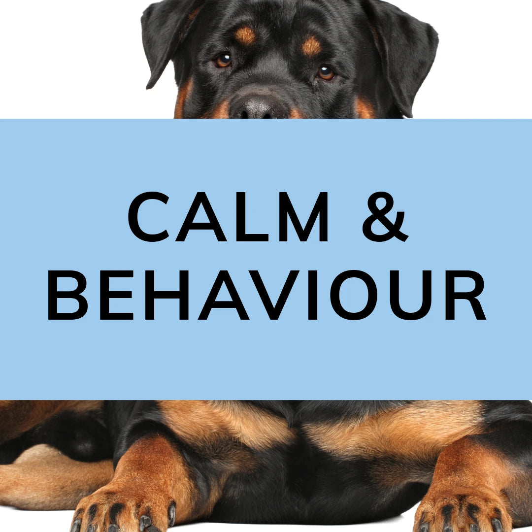 Proflax Calming Collection - Natural Solutions for Pet Anxiety and ...