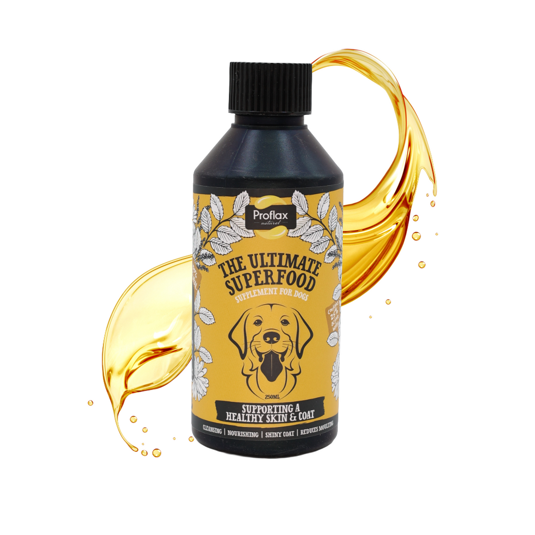 100% Natural Supplements for Dogs – Vet Approved | Proflax UK