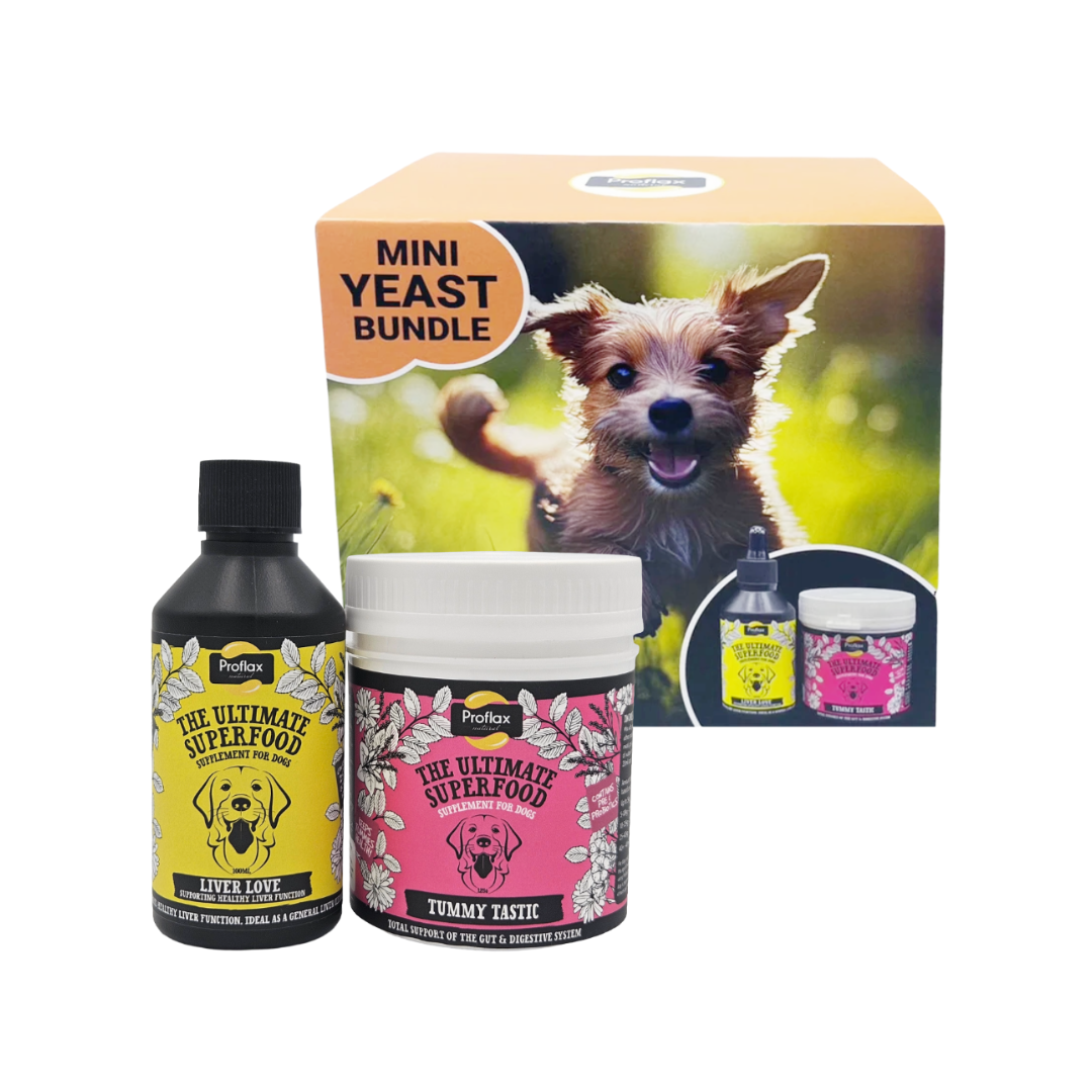 Proflax Mini Yeast Bundle | 100% Natural Holistic Oil & Herbal ...