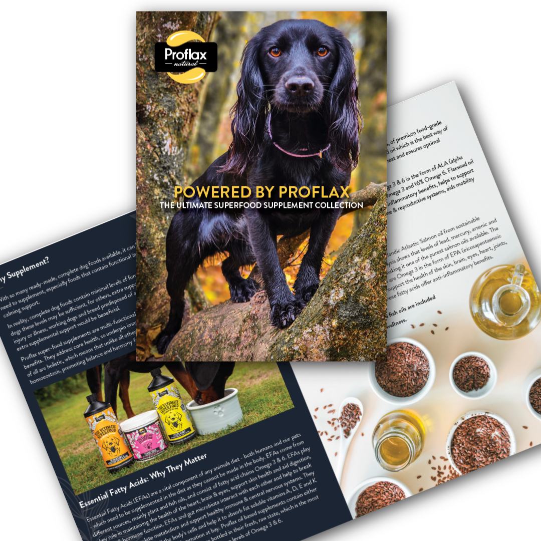 Proflax Brochure | 100% Natural Holistic Oil & Herbal Supplements ...