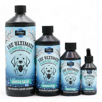 100% Natural Supplements for Dogs – Vet Approved | Proflax UK