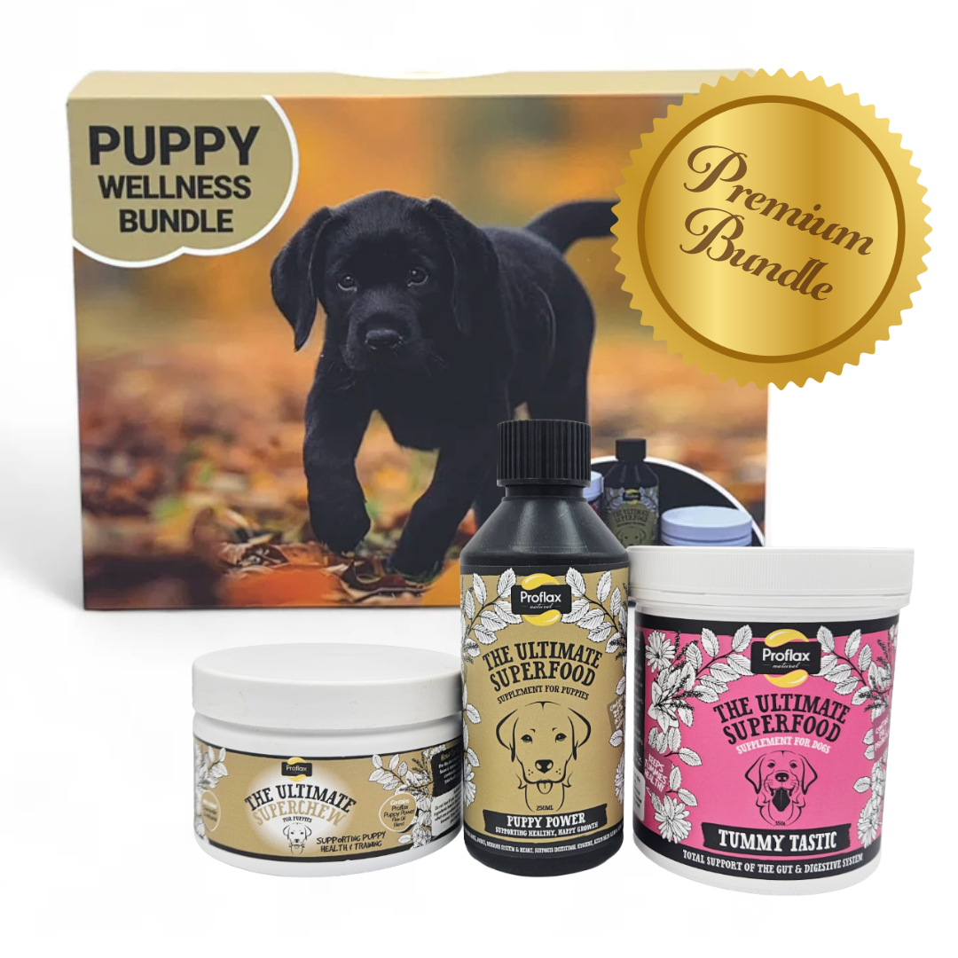 Proflax Puppy Wellness Bundle for Dogs | 100% Natural Holistic Oil ...