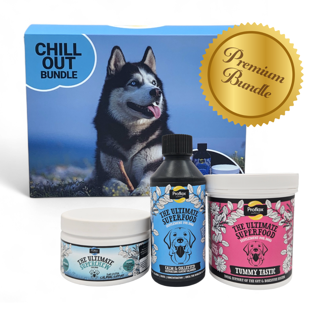 Proflax Chill Out Bundle for Dogs | 100% Natural Holistic Oil & Herbal ...