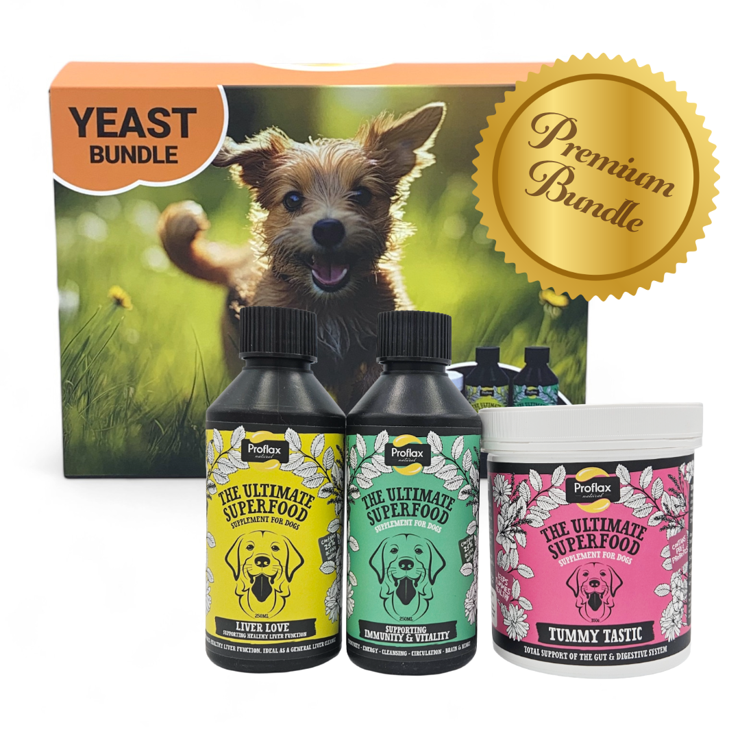 Proflax Yeast Bundle for Dogs | 100% Natural Holistic Oil & Herbal ...